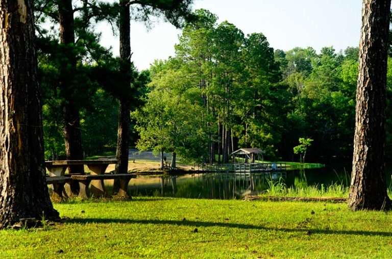 The Hamilton Mounds Site